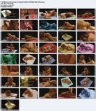 Guide To Sex Positions Phun Org Forum