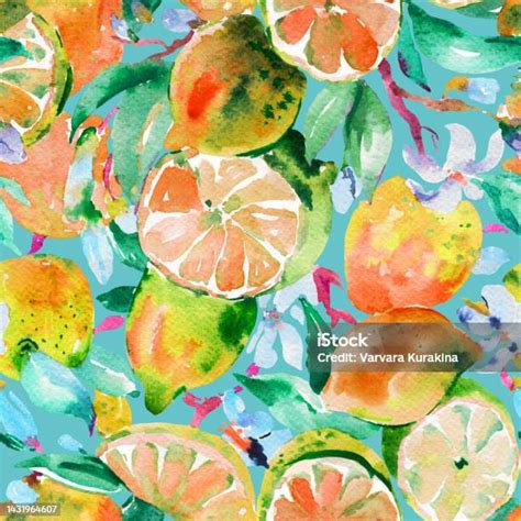 수채화 라임 자몽 이음새가 없는 무늬 여름 생생한 과일 식물 짜임새 0명에 대한 스톡 벡터 아트 및 기타 이미지 0명 감귤류 과일 계절 Istock