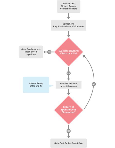 Acls Asystole Pea Algorithm