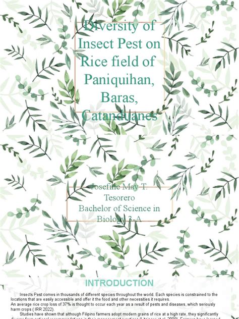 Insect Pest Pdf Rice Sampling Statistics