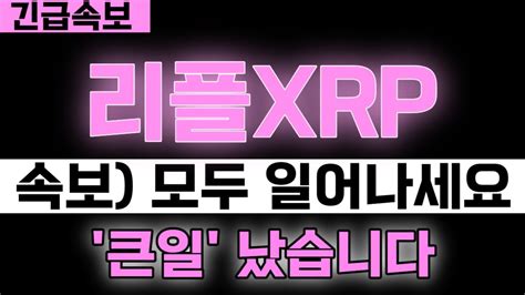 리플 Xrp 속보 모두 일어나세요 큰일 났습니다 리플 리플코인 리플대응 리플전망 리플승소 리플소송 리플합의 비트코인 아파트 부동산