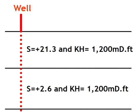 The Skin Factor TestWells