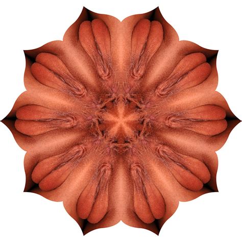 K4692 Sexual Mandala For Erotic Spirituality Photograph By Chris Maher Pixels