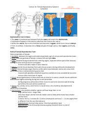 Lecture 31 Class Note Graded 1 Pdf Lecture 31 Female Reproductive System 1 11 9 2022 Great
