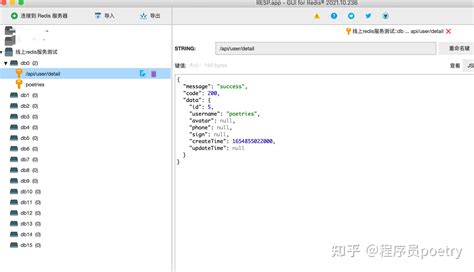 手把手教你学会部署Nestjs项目 知乎