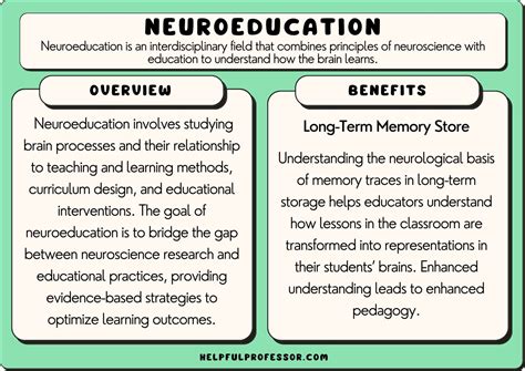 Neuroeducation Definition And Examples 2025