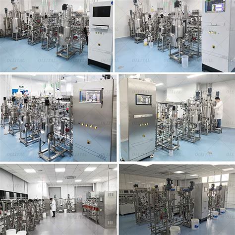 Bioreactor Lab Scale Cell Culture Bioreactor Stainless Steel Fermenter Bioreactor