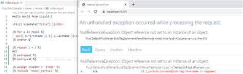 When Using Custom Endblock Without Startblock Throw Nullreferenceexception · Issue 244