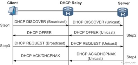 dhcp中继代理 csdn博客