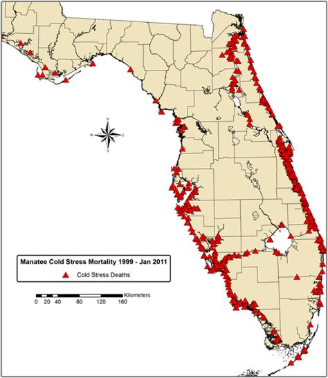 Manatee Classification Chart