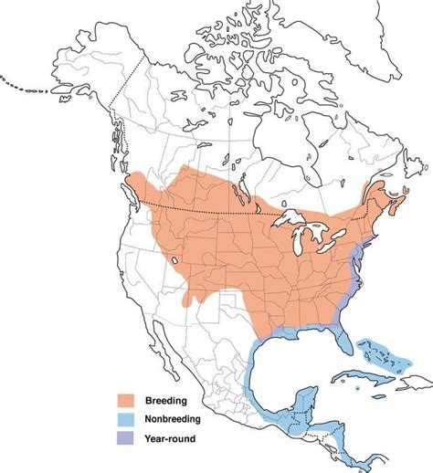 Gray Catbird Range Map All About Birds Cornell Lab Of Ornithology