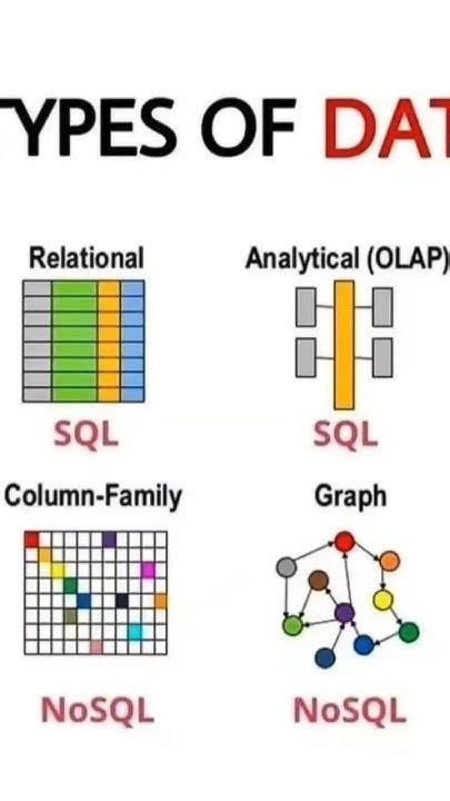 Types Of Database Trending Codeing Database Shortviral Codecoding Sql Nosql Youtube