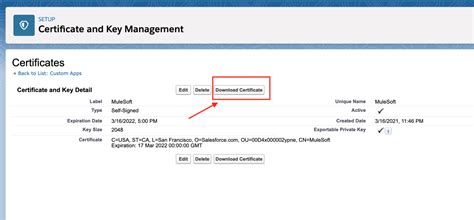 how to authenticate salesforce using jwt from mulesoft pantherschools