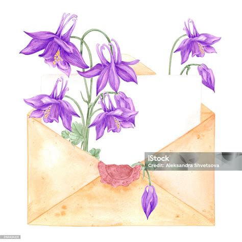 손으로 그린 수채화 편지 와 Aquilegia 꽃 와 백색 배경 고립된 통하고 있는 카드 스크랩북 및 기타 인쇄물에 사용할 수