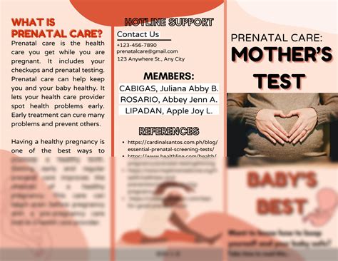 Solution Prenatal Care Brochure Studypool