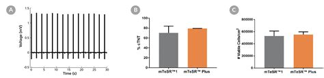 Stemdiff™ Ventricular Cardiomyocyte Differentiation Kit Stemcell Technologies