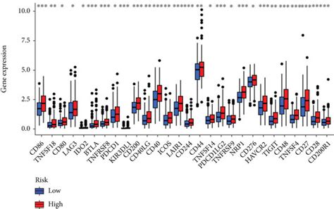 Comprehensive Immunological Analysis In Patients With Different Risks Download Scientific
