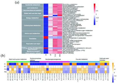 Functional Gene Analysis Of The Fermented Grain Microbiota In