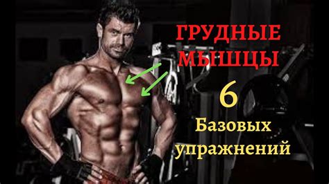 ГРУДНЫЕ МЫШЦЫ 6 БАЗОВЫХ УПРАЖНЕНИЙ ОШИБКИ УБИВАЮЩИЕ ПРОГРЕСС Youtube