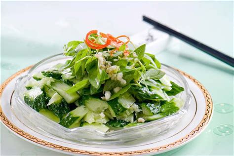 荆芥拌黄瓜图册 360百科