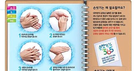 장마철 비누로 손 씻으면 감염병 최대 70 예방