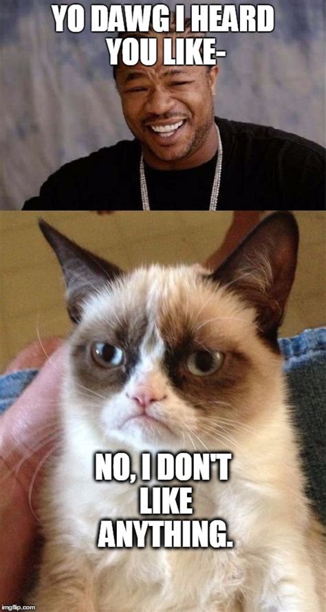 Yeah No One Messes With Grumpy Cat No One Imgflip