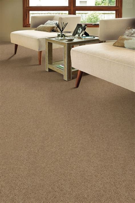 Shop Shaw Builder Flooring Property Solutions Specified Venture Solid