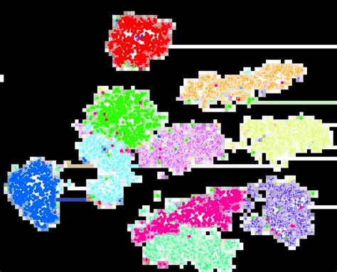 using t sne for movie transcript analysis