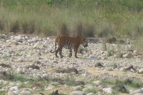 [explainer] What Are Ecological Droughts