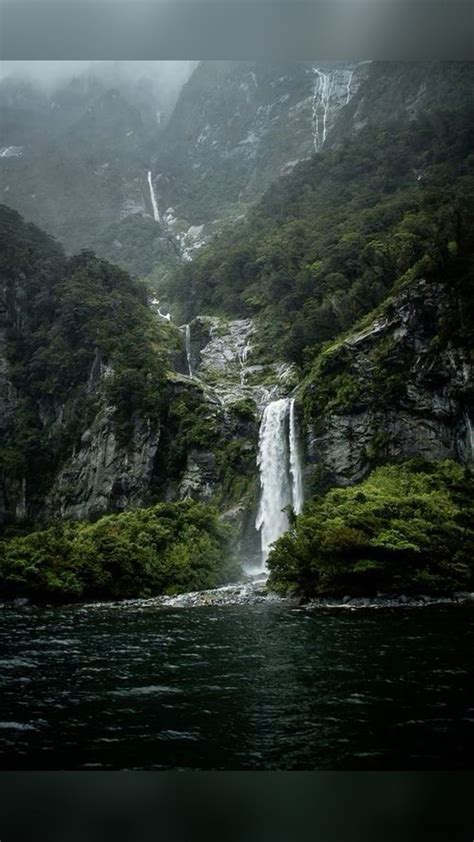 The Clearest Way Into The Universe Is Through A Forest Wilderness