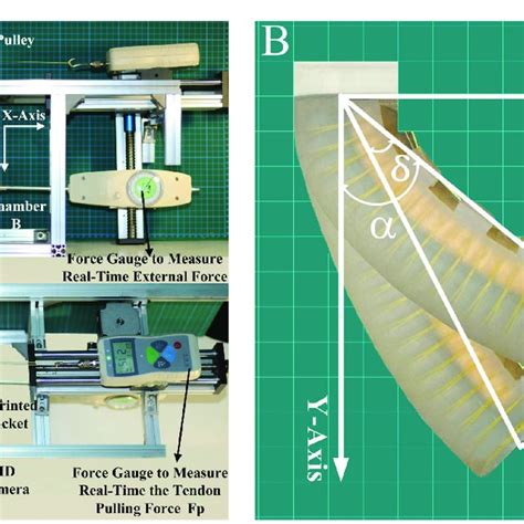 Experimental Validation A Experimental Setup Pull The Tendon Along Download Scientific