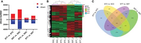 Combined Transcriptomic And Physiological Metabolomic Analyses