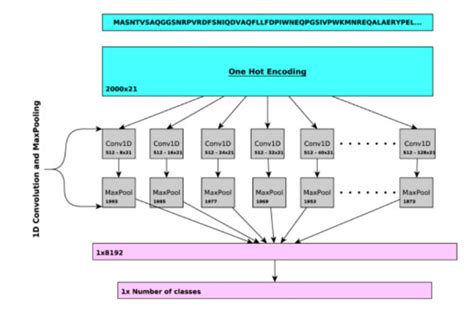 Bio Protein Function Prediction From Sequential Data Cnn Rnn Lstm Transformer