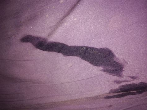 Tunisie Part 3 Porn Pictures Xxx Photos Sex Images 1498143 Pictoa