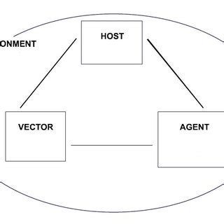 Standard Epidemiologic Triangle Of An Injury 25 Download Scientific Diagram