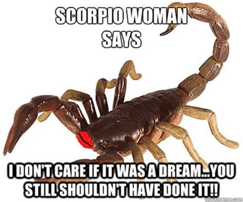 30 Best Scorpio Memes Astrology Special