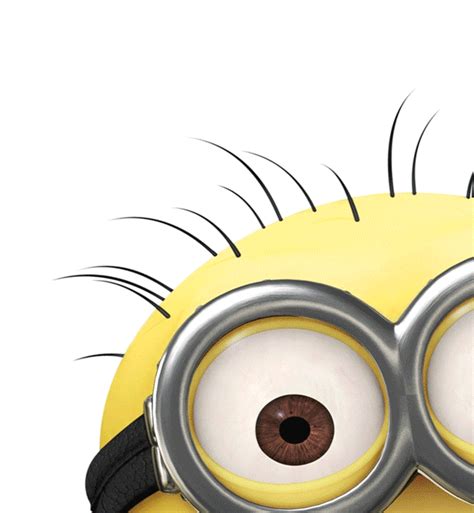 Gambar Animasi Bergerak Lucu Minions Minion  Minions Minions