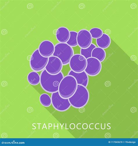 Staphylococcus Icon Flat Style Stock Vector Illustration Of Form Flat 117043670