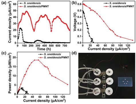 A Current Density Output B Polarization Curves And C Power‐density
