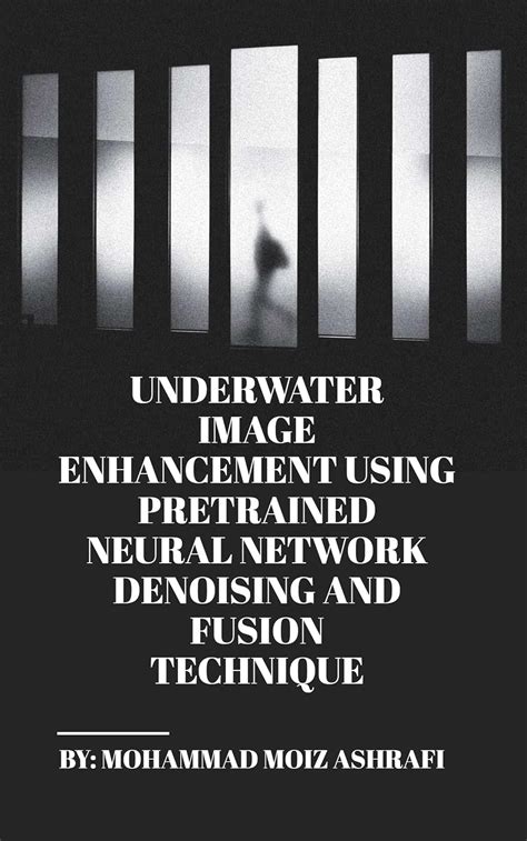 underwater image enhancement using pretrained neural network denoising and fusion technique