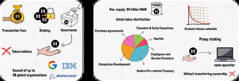 Hedera Hashgraph And Hbar Explained • Iexplaincrypto
