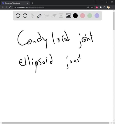 Solved Condyloid Joints A Are A Type Of Ball And Socket Joint B Include The Radiocarpal