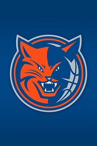 Charlotte Bobcats Logo Vector