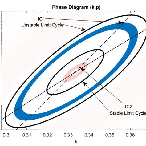 Unstable Limit Cycle S 1 059 Download Scientific Diagram
