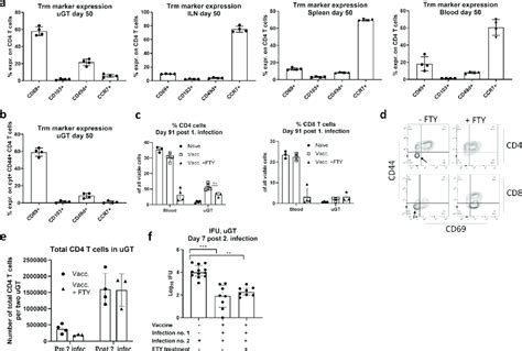 Characterization Of Resident Memory T Cells In The Genital Tract And Download Scientific