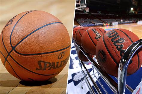 Integral Anpassen Rafflesia Arnoldi Basketball Spalding Vs Wilson Sex