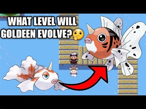 Pokemon Goldeen Evolution Chart