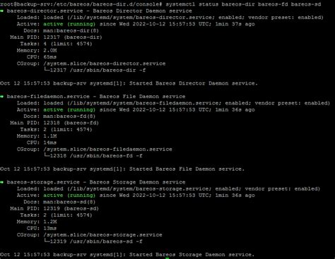 Bareos 21 Install On Ubuntu 2204 Blog Of Deltamoby
