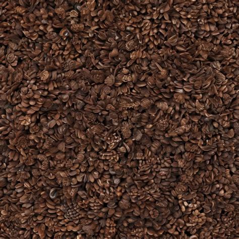 exploring pinecone vector database architecture and uses