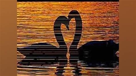 فول آلبوم احسان خواجه امیرى سلام آخ